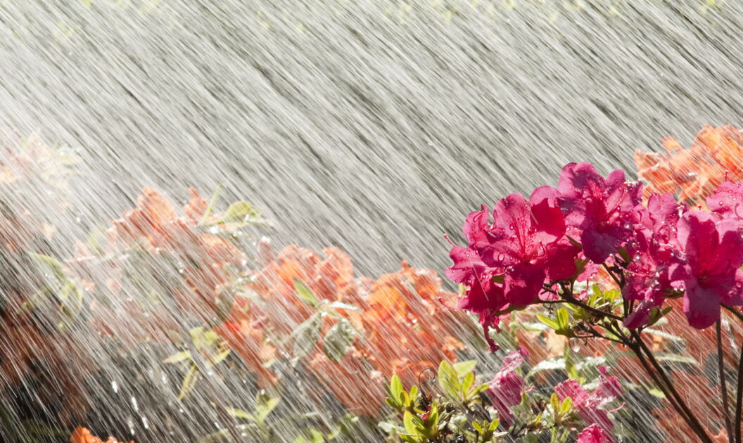 Regenwassernutzung